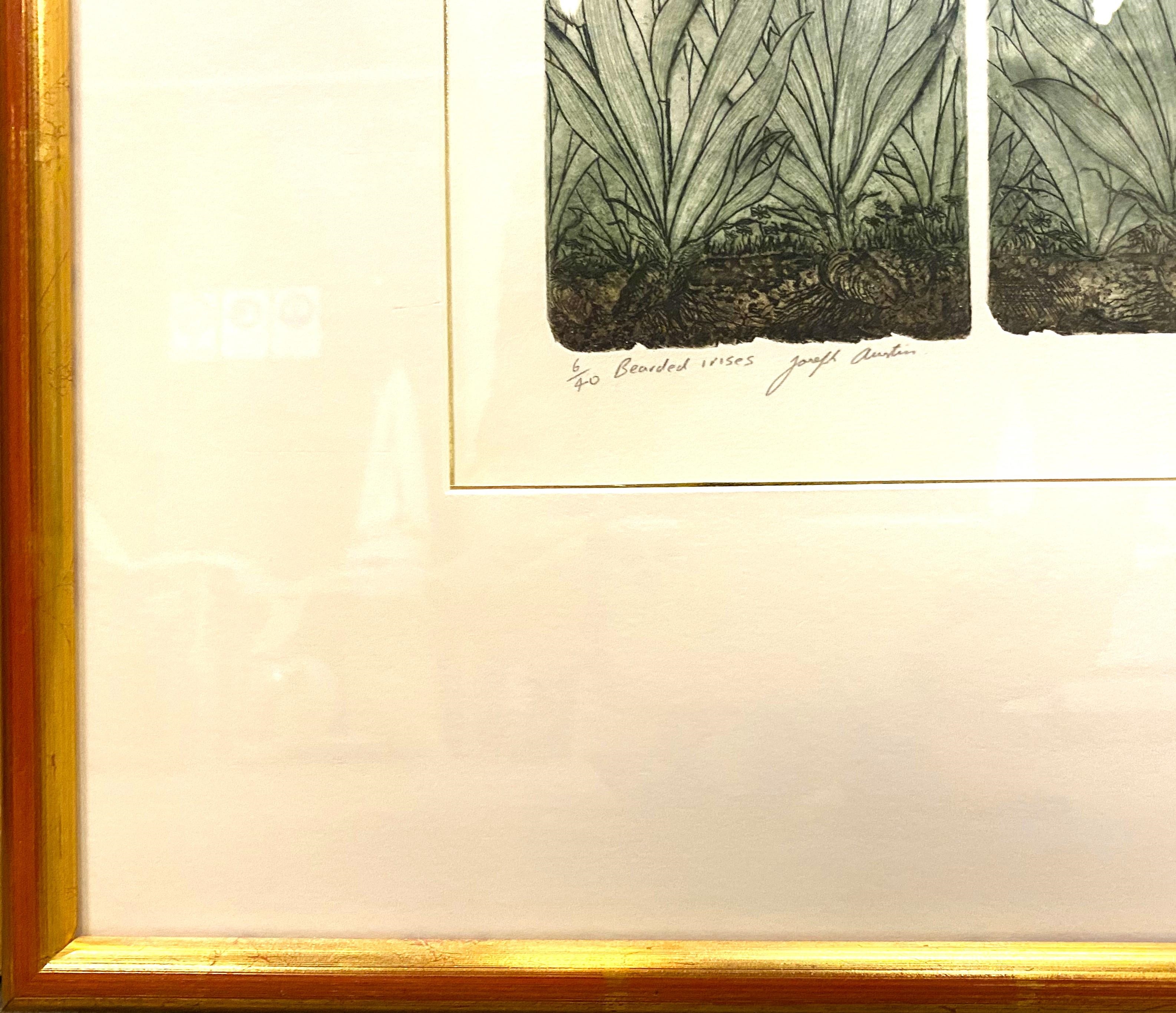 Joseph Austin | Bearded Irises (2004) | MutualArt