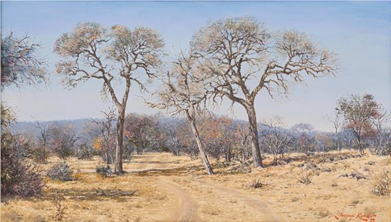 Johann Koch | Bushveld Landscape | MutualArt