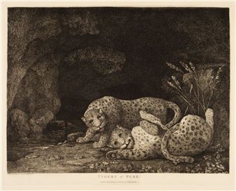 George Stubbs | Tiger (1769 - 1770) | MutualArt