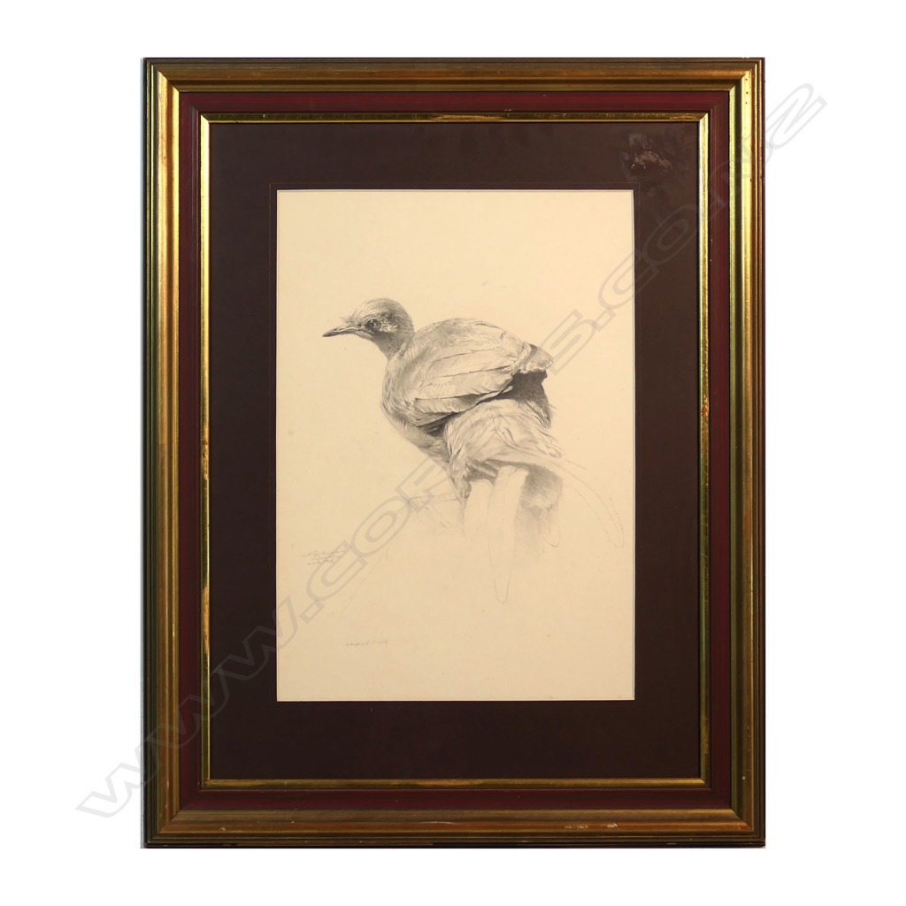 Raymond Harris Ching | Adult Female Lyre Bird (1979) | MutualArt