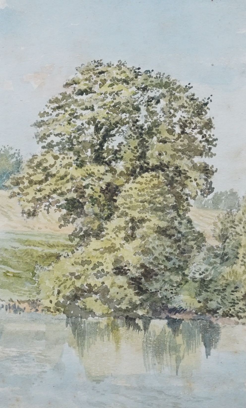 Clark Rampling | An oak by a pool Hatton Water | MutualArt