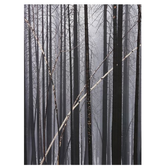 David Ashcroft | 3 Artworks at Auction | MutualArt