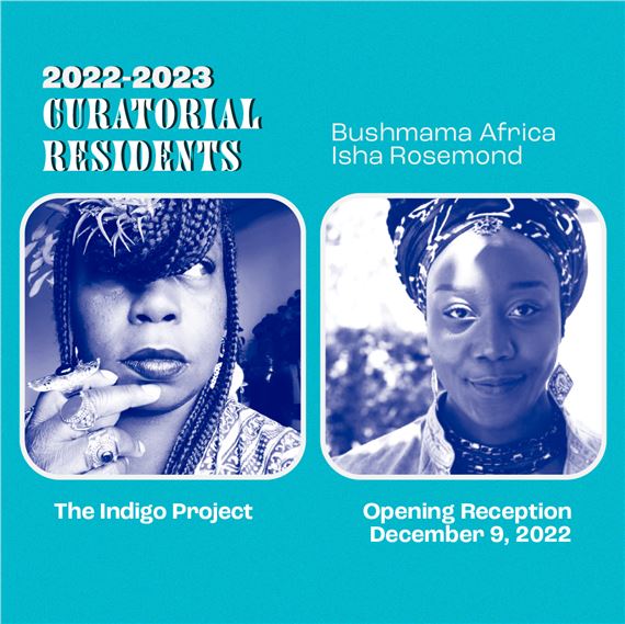 The Indigo Project | Exhibitions | MutualArt