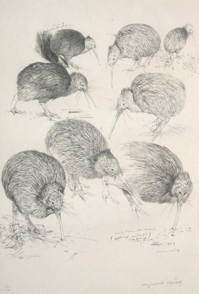 Raymond Harris Ching | untitled (1984) | MutualArt