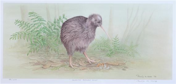 Pauline Morse | Okarito Brown Kiwi (A) (1993) | MutualArt