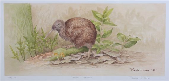 Pauline Morse | Haast Tokoeka (B) (1993) | MutualArt