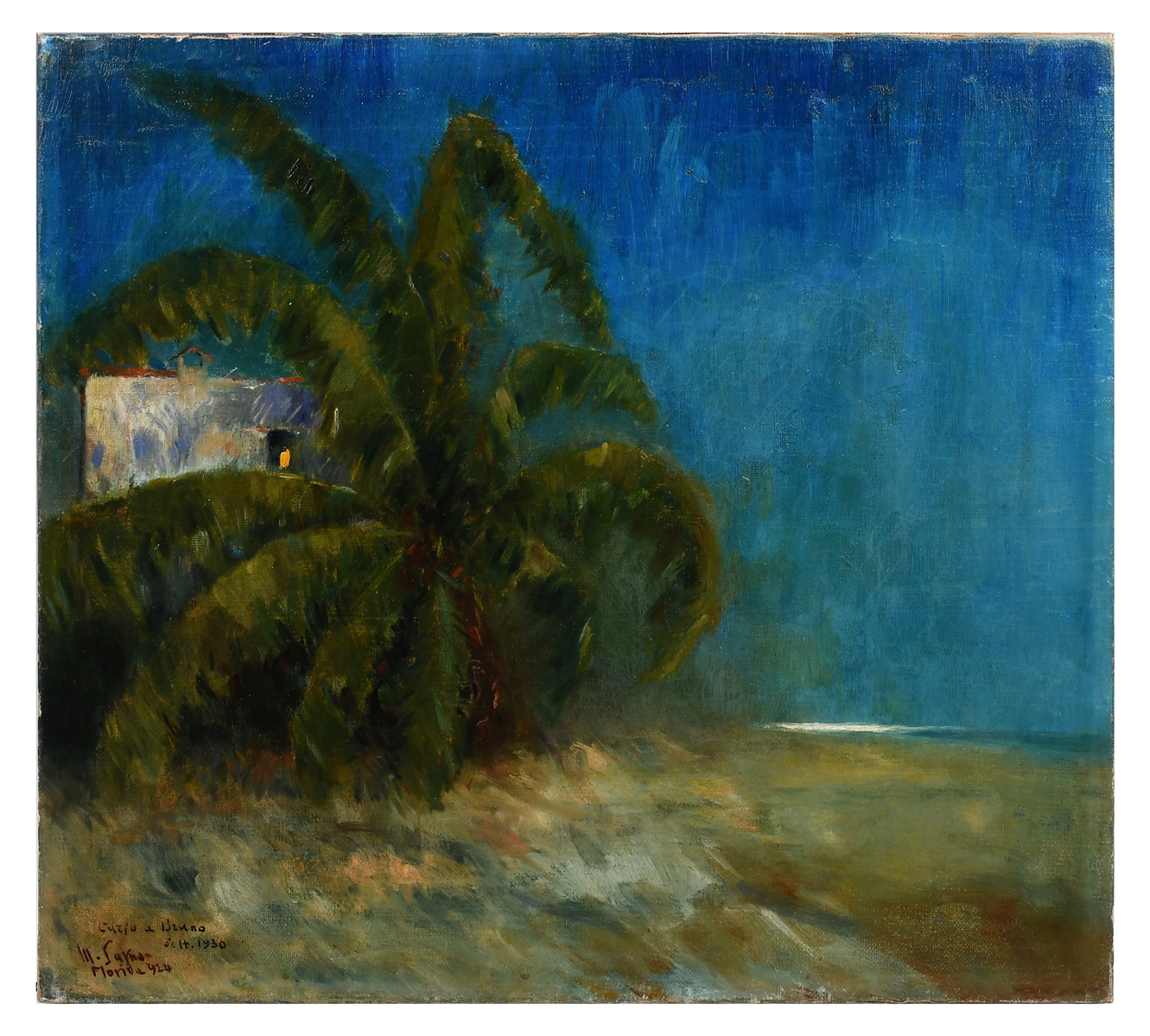 Matteo Sarno | Nocturnal Florida Beach Scene with Palm and House ...