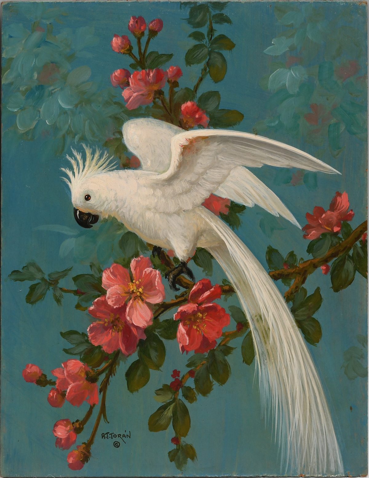 Alfonso Toran | Four Cockatoo Paintings | MutualArt