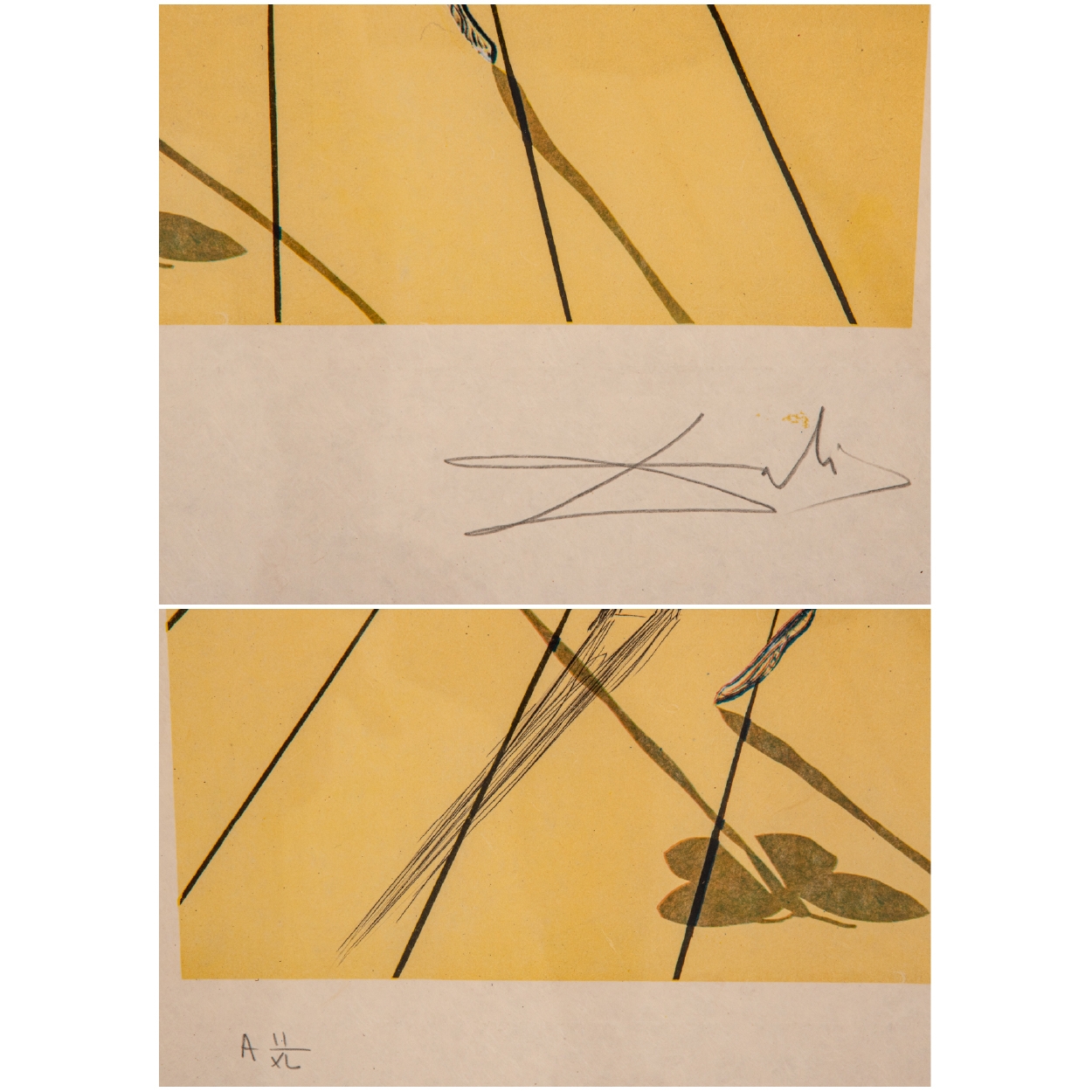 Salvador Dalí | Memories of Surrealism (1971) | MutualArt