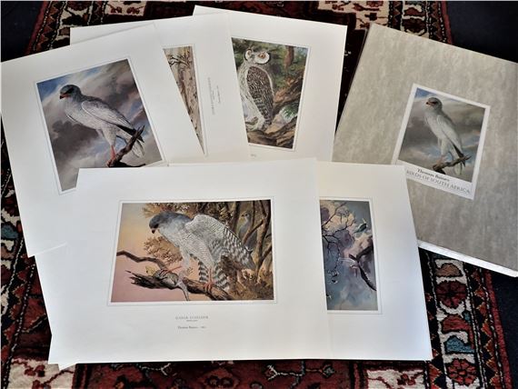 Thomas Baines | THE BIRDS OF SOUTH AFRICA | MutualArt