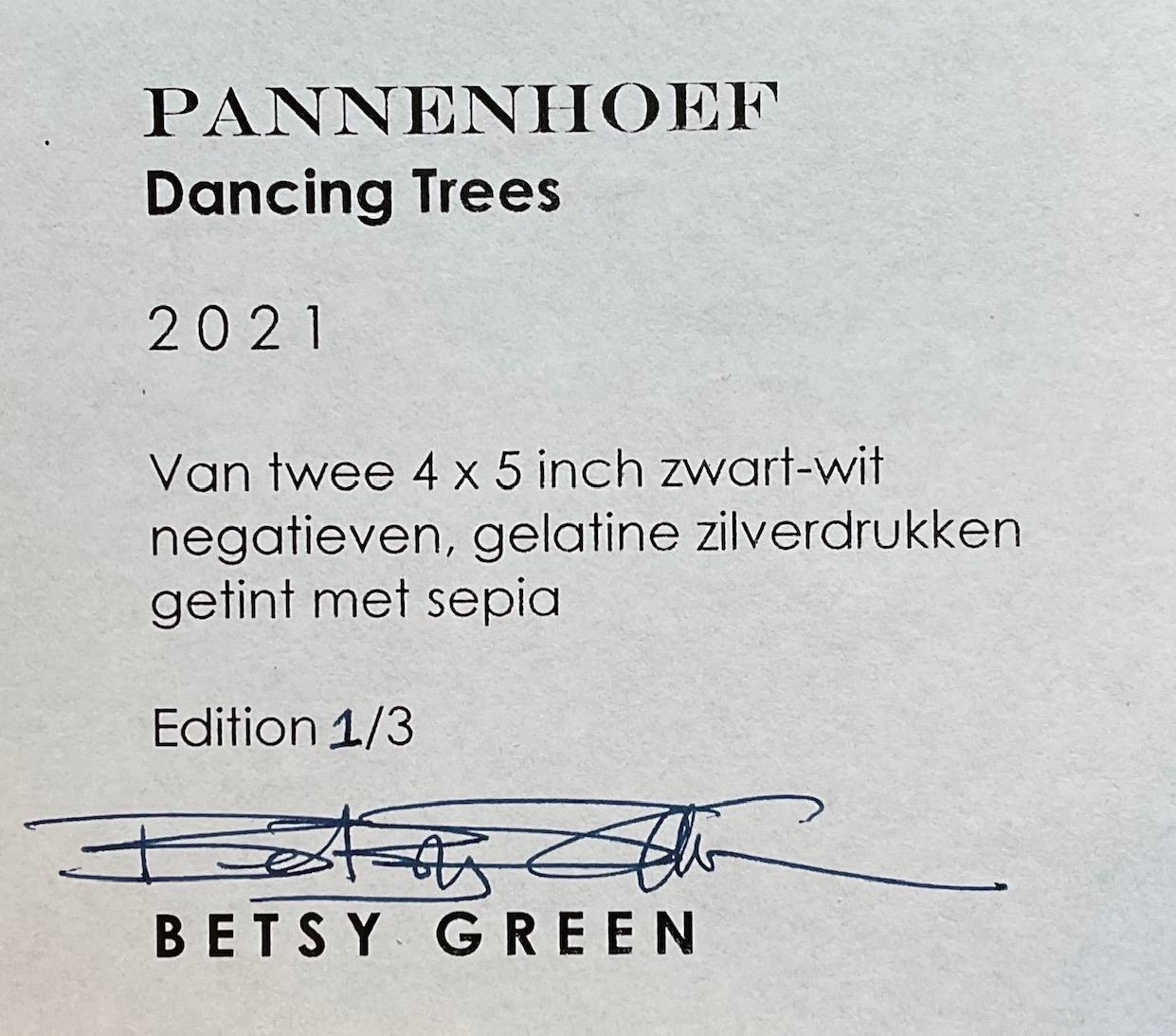 Betsy Green | Pannenhoef – Dancing Trees, 2021, tweemaal 13 x 10,5 cm ...