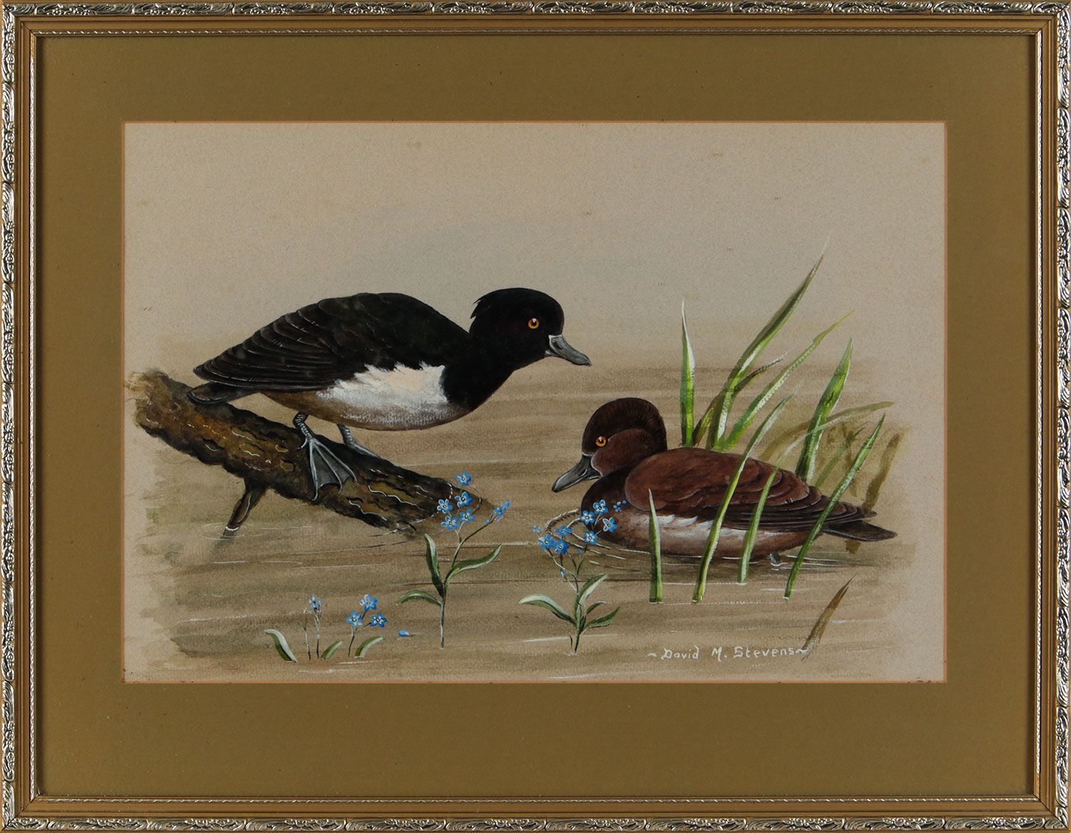 David M. Stevens | TUFTED DUCKS | MutualArt