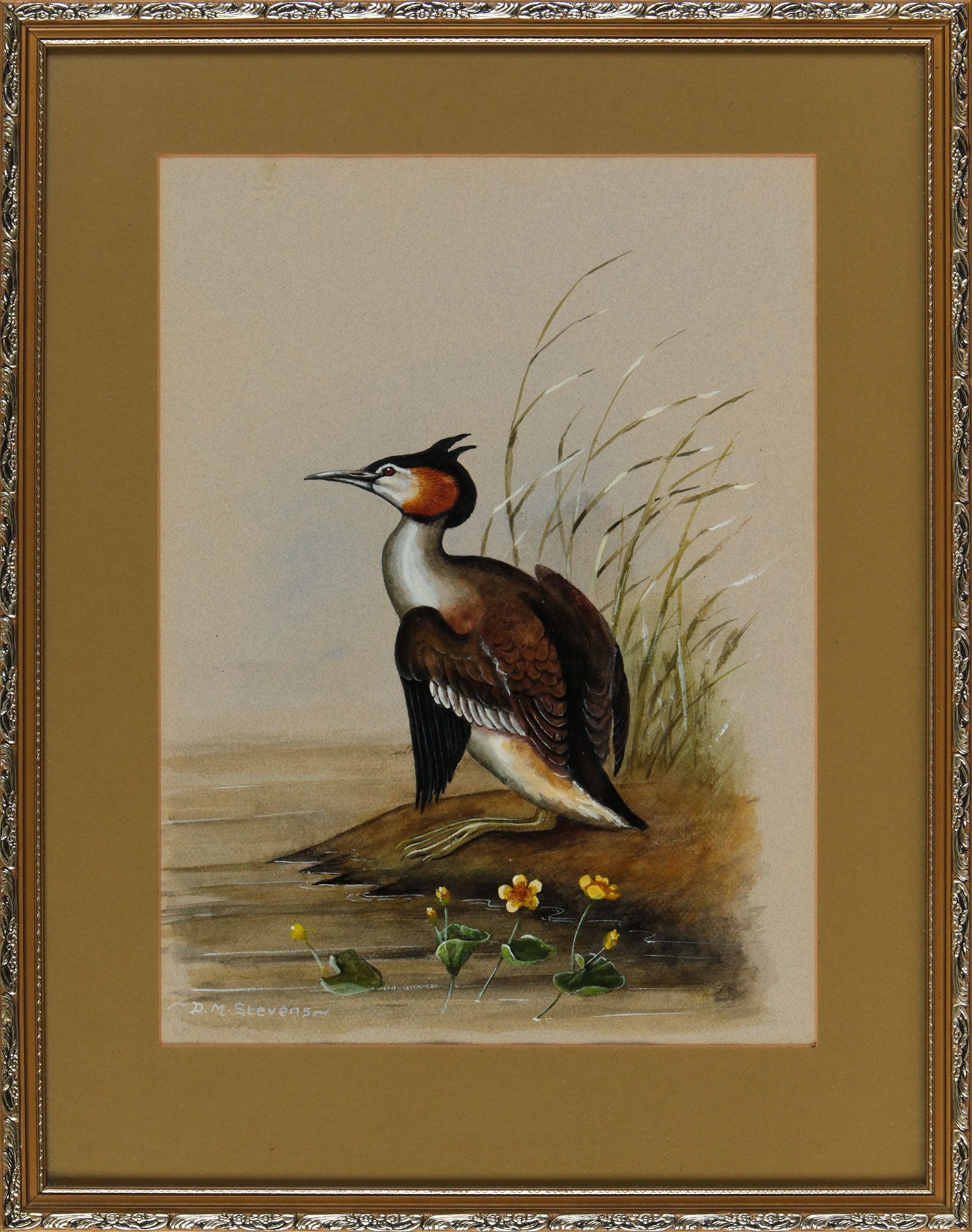 David M. Stevens | GREAT CRESTED GREBE AT THE WATERS EDGE | MutualArt