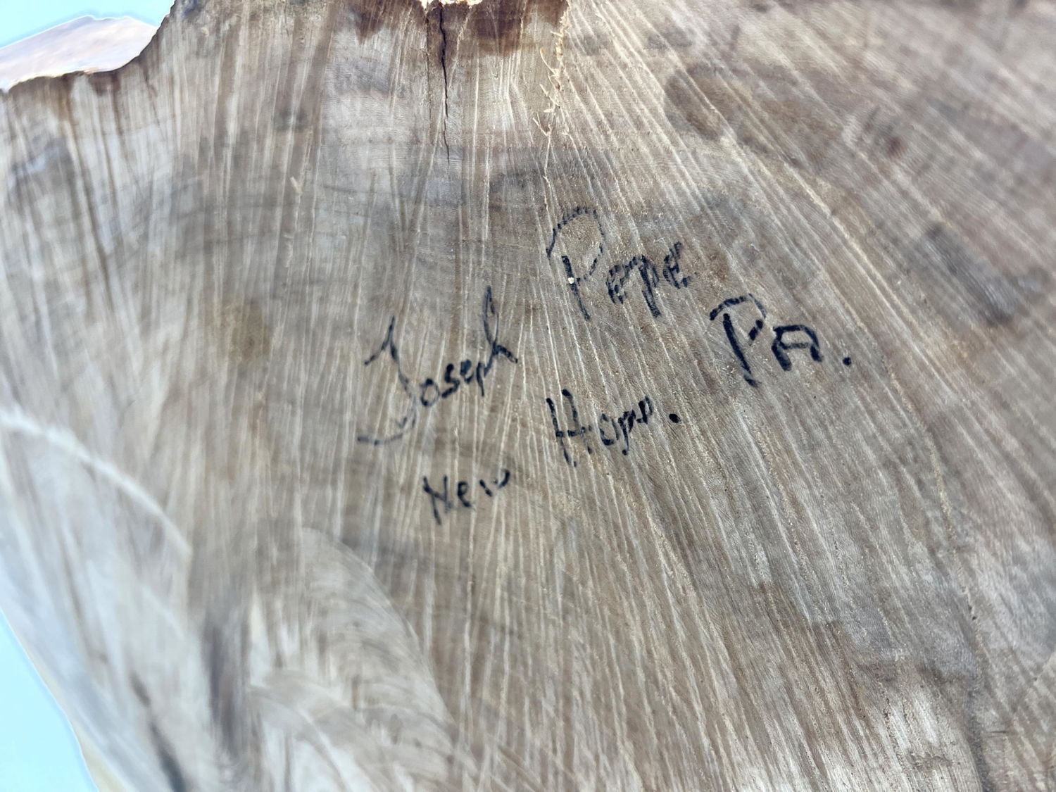 Joe Pepe | Live Edge Tree Slab Top Side Table. | MutualArt