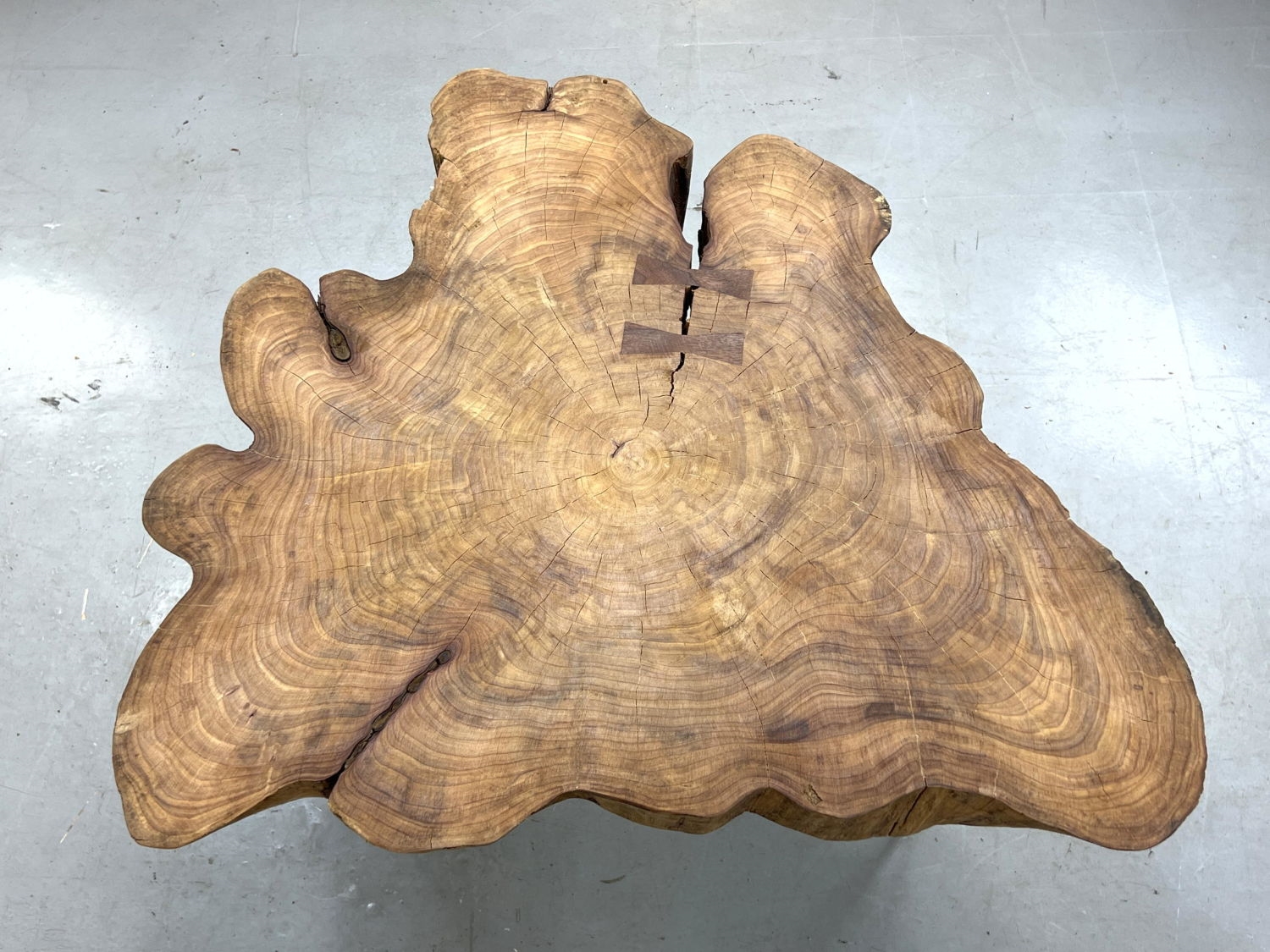Joe Pepe | Live Edge Tree Slab Top Side Table. | MutualArt
