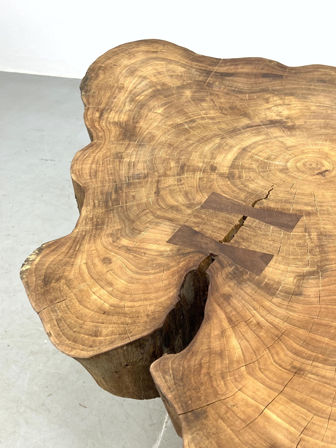 Joe Pepe | Live Edge Tree Slab Top Side Table. | MutualArt