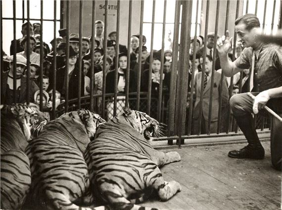 Andre Steiner | Tiger Tamer, circa 1938. (Circa 1938) | MutualArt