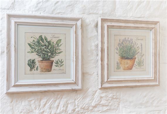 L. David | botanical prints | MutualArt