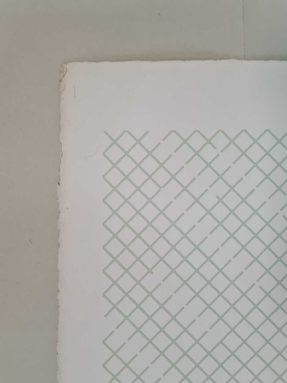 William Tillyer | William Tillyer | MutualArt
