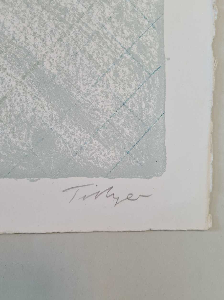 William Tillyer | William Tillyer | MutualArt