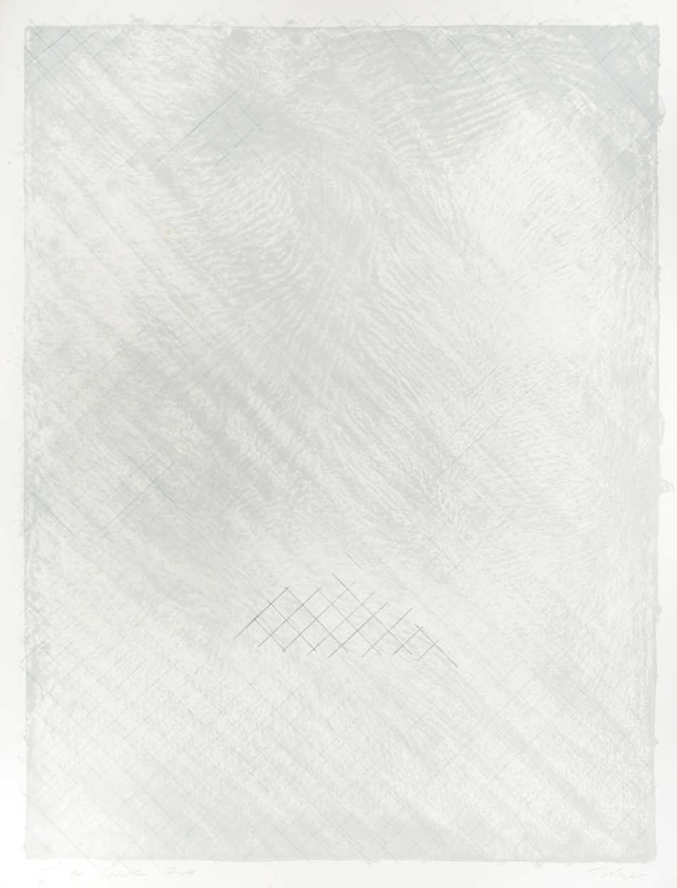 William Tillyer | William Tillyer | MutualArt