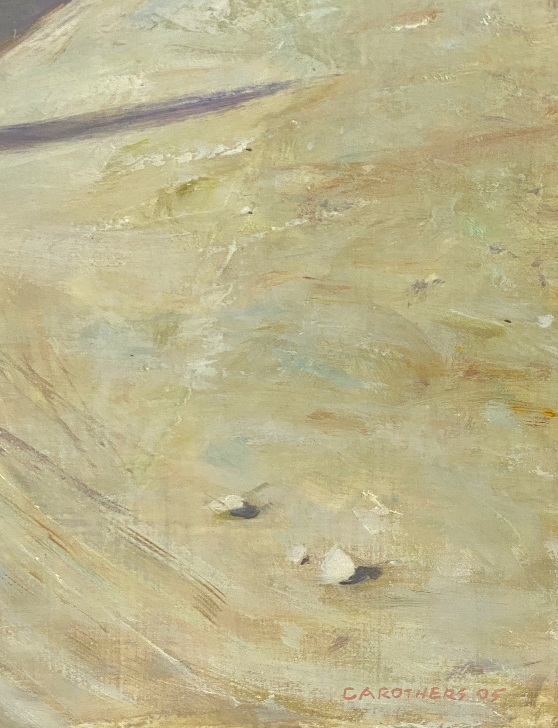 Cole Carothers | Acoma with Contrail | MutualArt