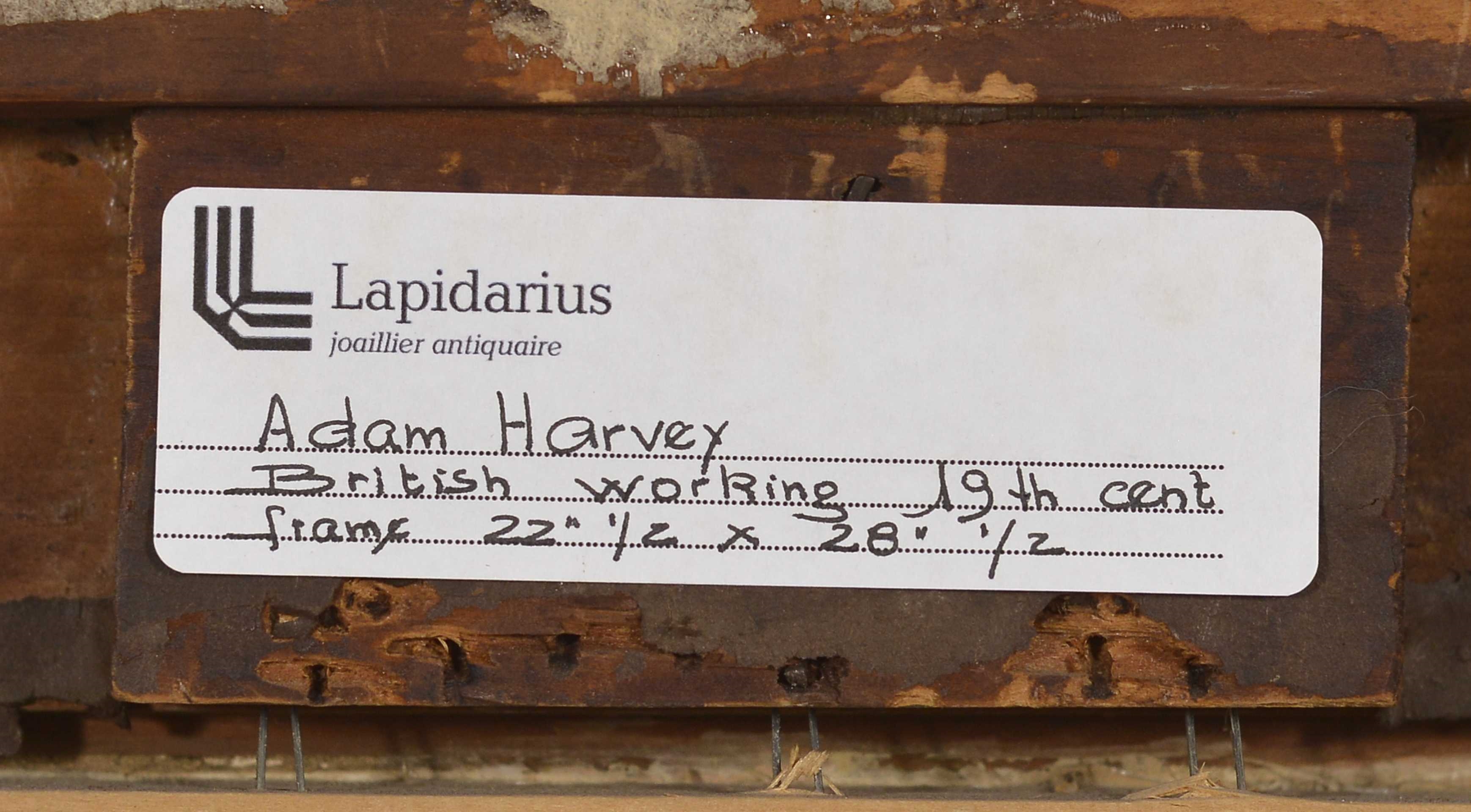 Adam Harvey | Long-haired Highland cattle at pasture | MutualArt