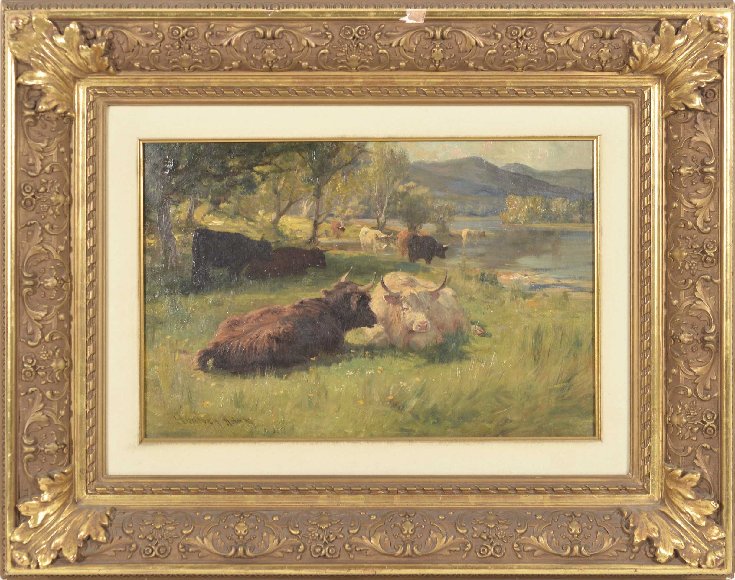Adam Harvey | Long-haired Highland cattle at pasture | MutualArt