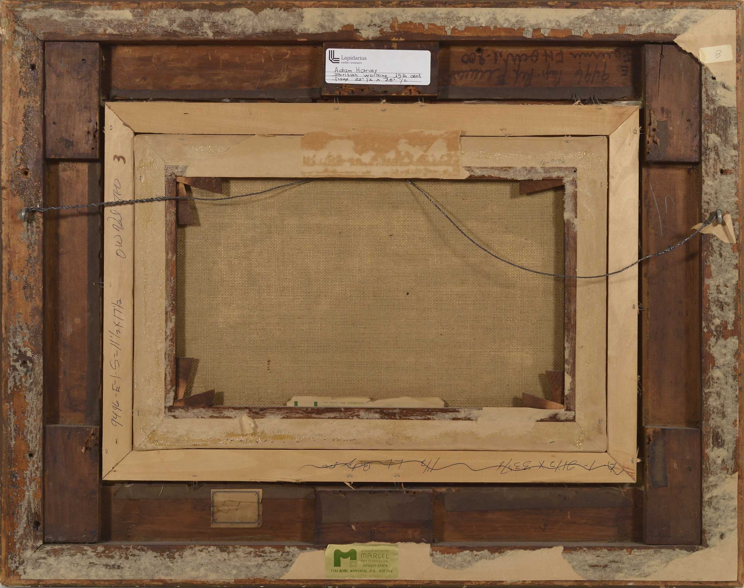 Adam Harvey | Long-haired Highland cattle at pasture | MutualArt