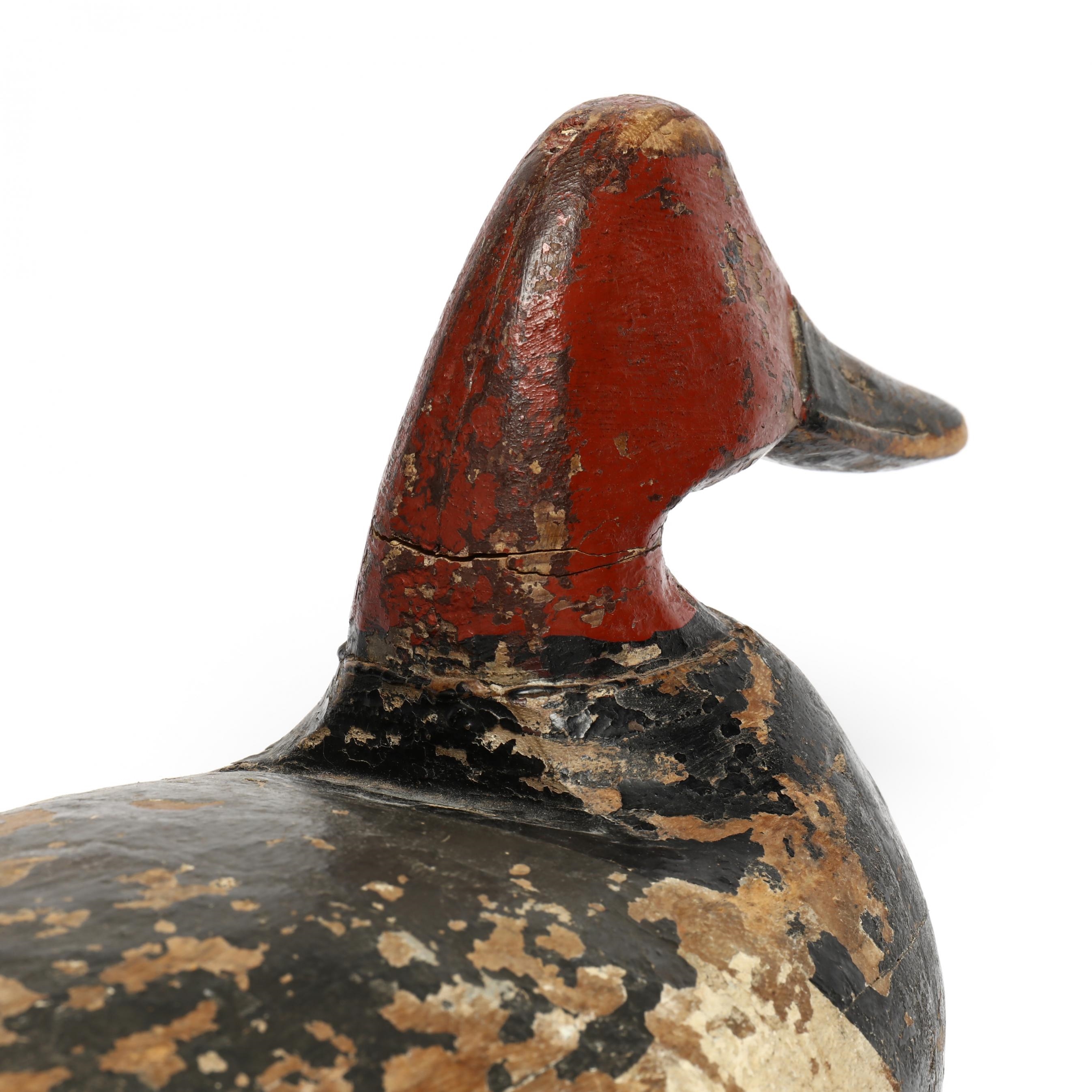 Doug Jester | Canvasback (Circa 1930s) | MutualArt