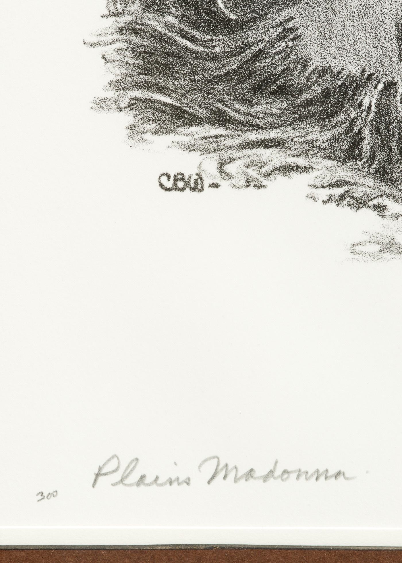 Charles Banks Wilson | Plains Madonna (1977) | MutualArt