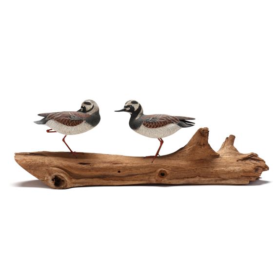 Curtis Waterfield | Pair of Ruddy Turnstones Mounted on Driftwood ...