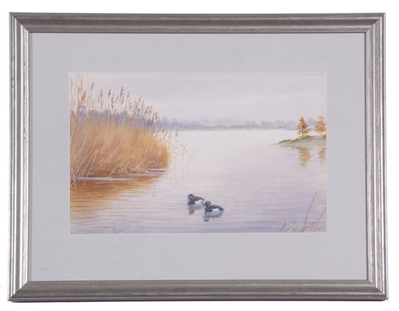 Philip Rickman | Tufted Ducks | MutualArt