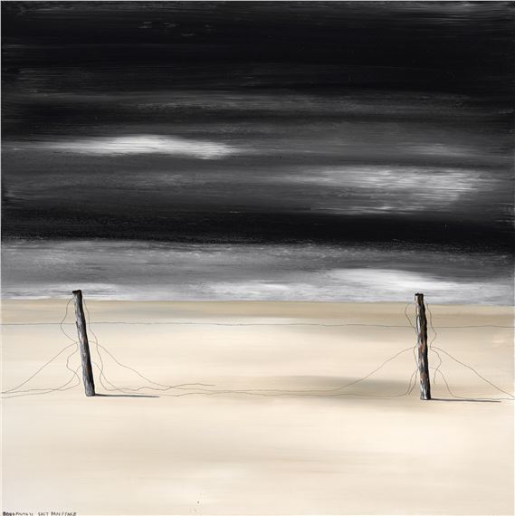 Doug Frith | Salt Pan Fence (2021) | MutualArt