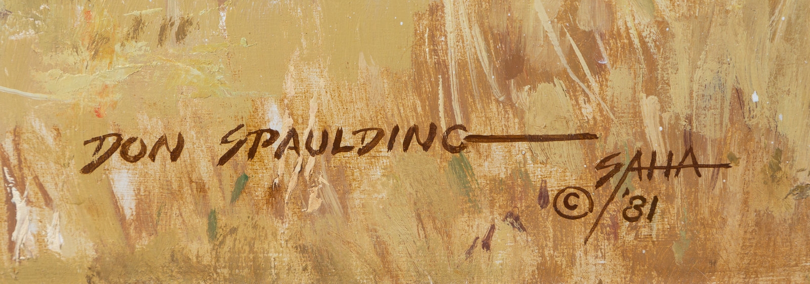 Don Spaulding | Saving Their Hides | MutualArt