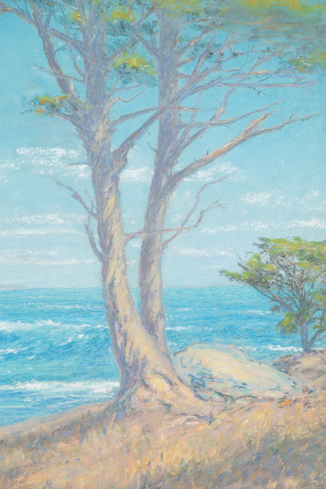 William Louis Otte | California Coast | MutualArt