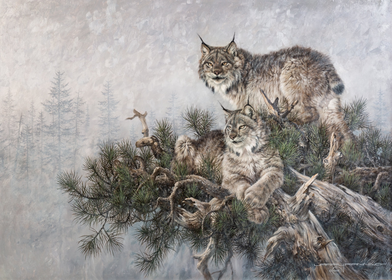 Larry Fanning | Bobcats (1992) | MutualArt