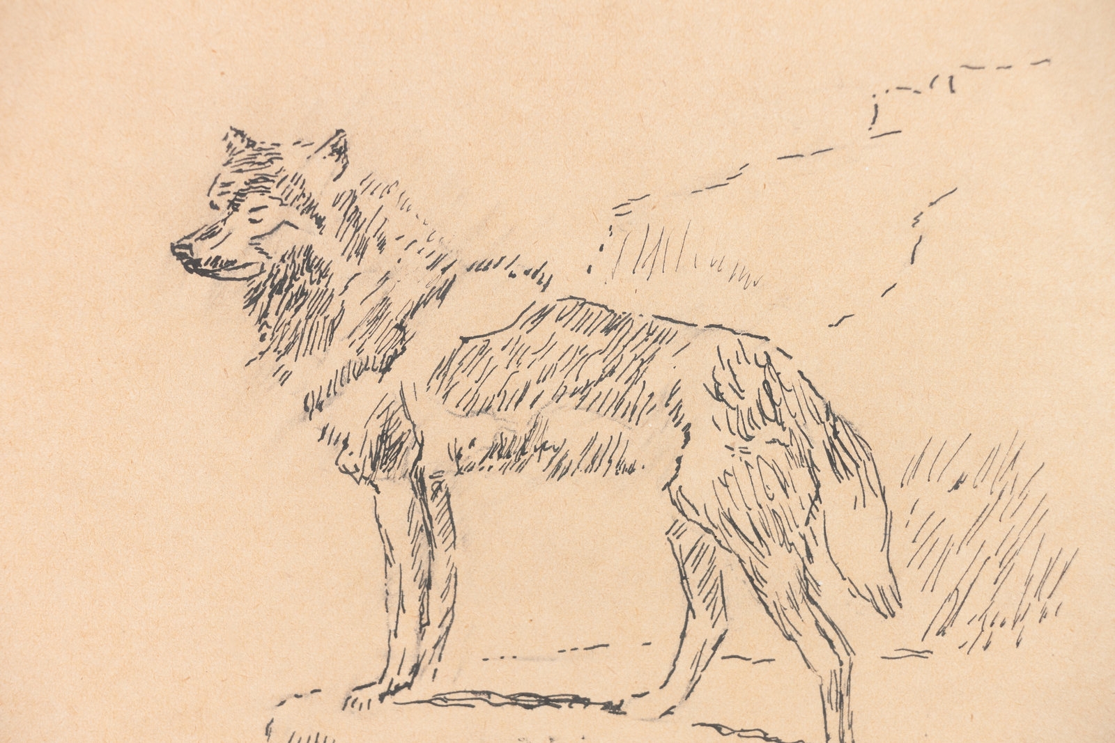 Charles Marion Russell | Wolf Facing Left | MutualArt