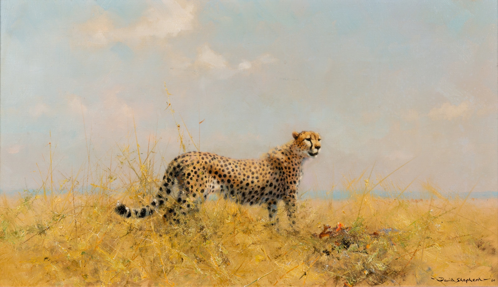 David Shepherd | A Cheetah with Kill (1980) | MutualArt
