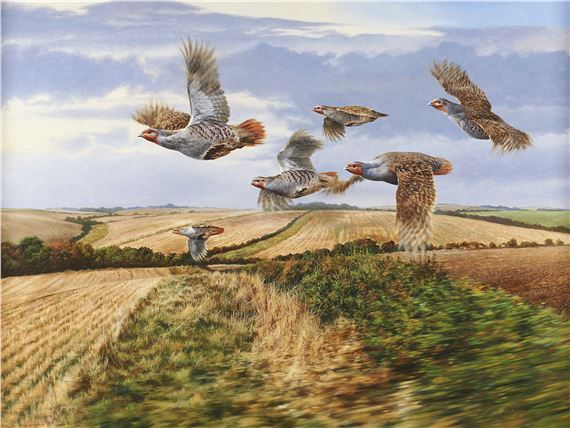 Andrew Ellis | Coming Home (covey of grey partridge) | MutualArt