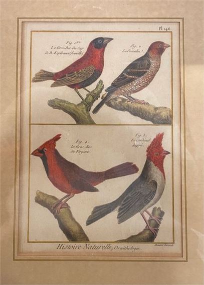 Benard Direxit | The birds | MutualArt