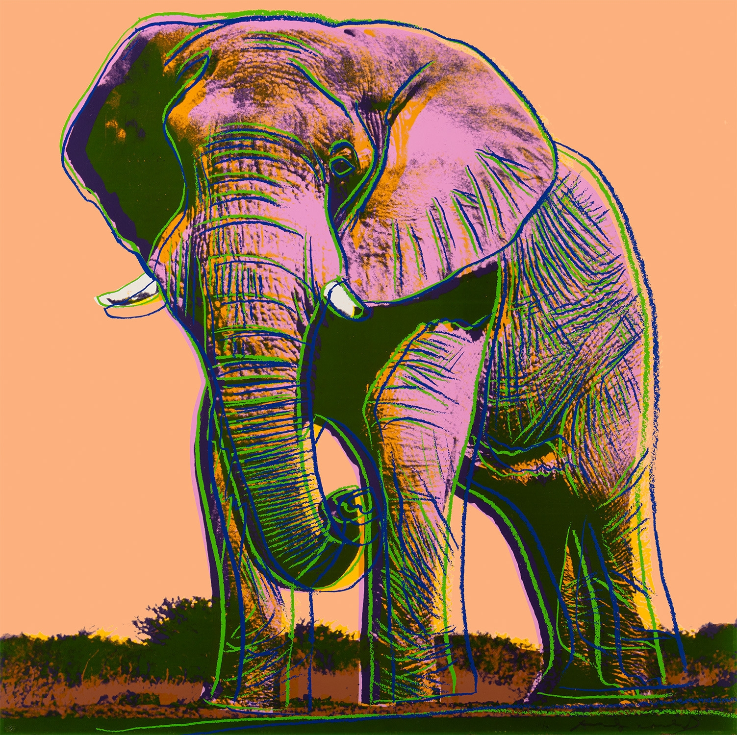 Andy Warhol | African Elephant, from Endangered Species (F. & S. 293 ...