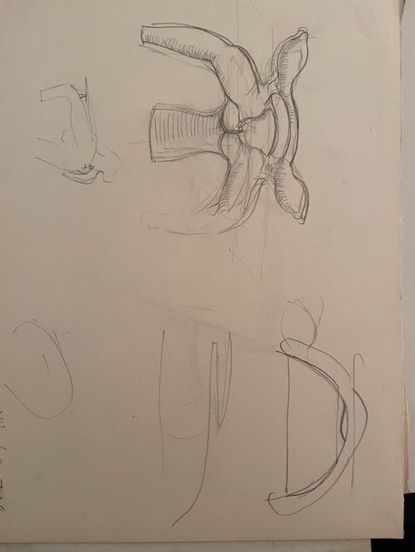 Leonardo Delfino | Set of 50 study drawings on furniture | MutualArt