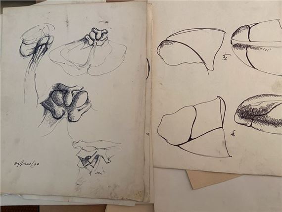 Leonardo Delfino | Set of drawings | MutualArt