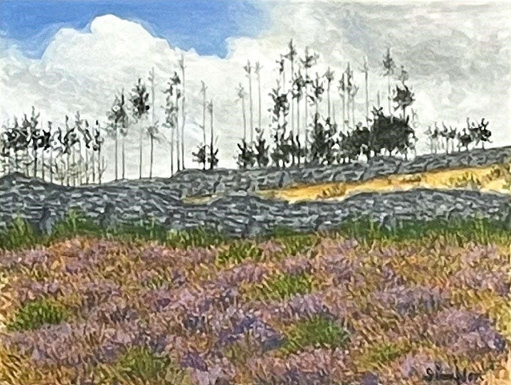 Jim Simpson | Galicion Fields (1995) | MutualArt