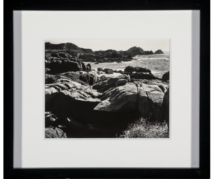 Edward Weston | South Shore, Point Lobos (1953 - 1954) | MutualArt
