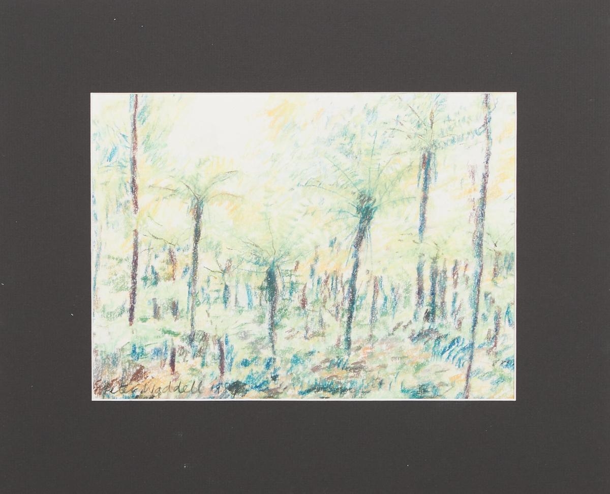 Peter Waddell | Ponga (1989) | MutualArt