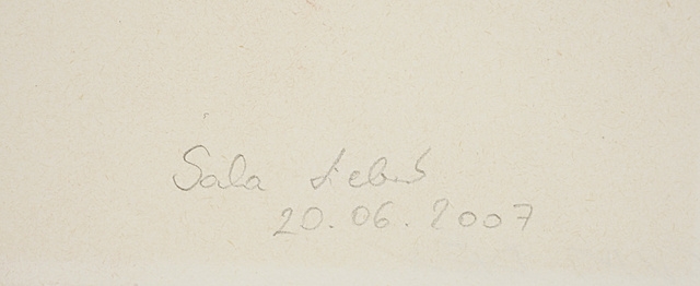 Sala Lieber | Männlicher Akt (2007) | MutualArt