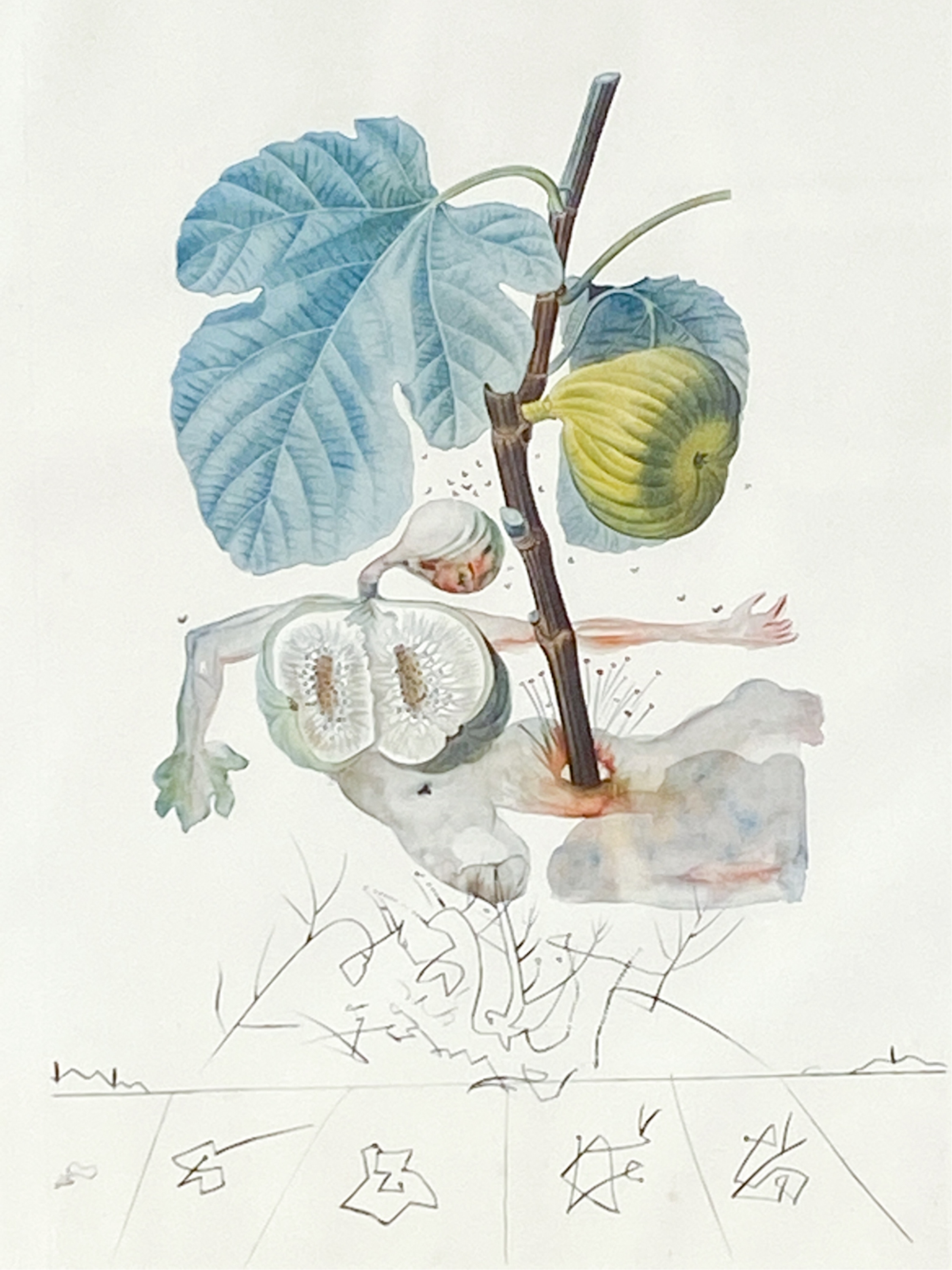 Salvador Dalí | SALVADOR DALI FIG MAN - LES FRUITS 1969 (1969) | MutualArt