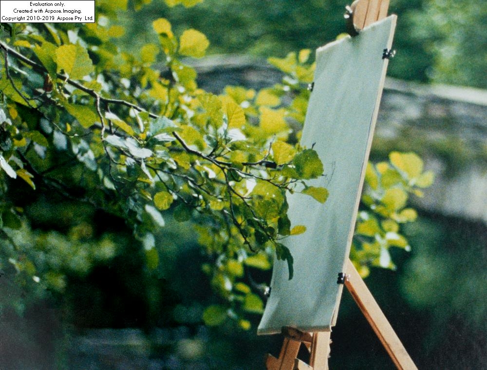 Tim Knowles | Tree Drawing - Alder on easel #2 | MutualArt